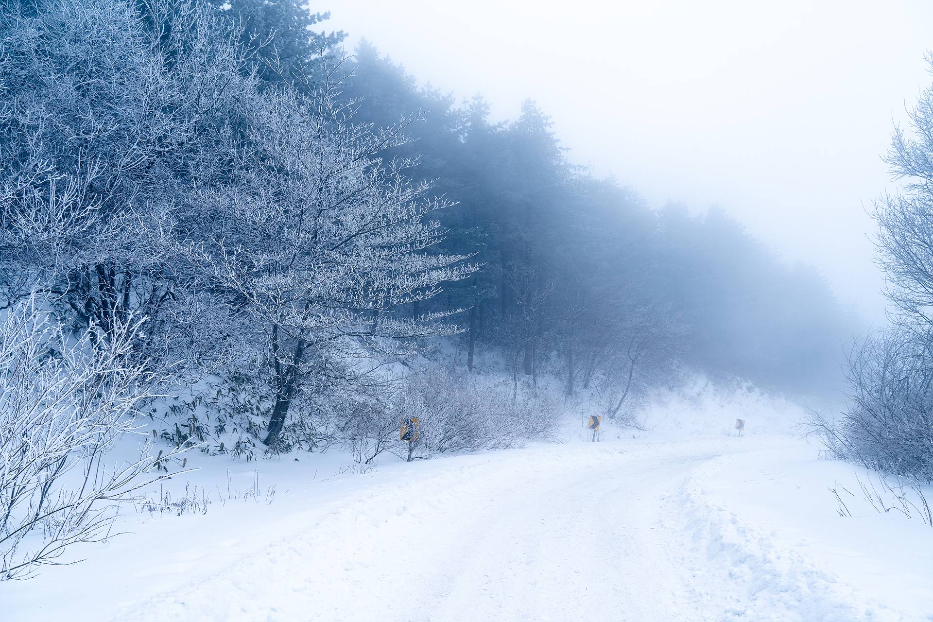 봄이 오기 전 마지막 겨울산