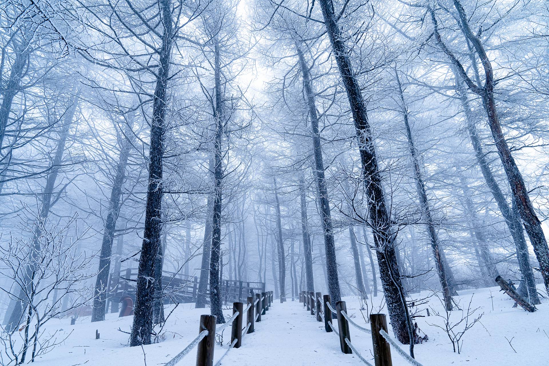 봄이 오기 전 마지막 겨울산