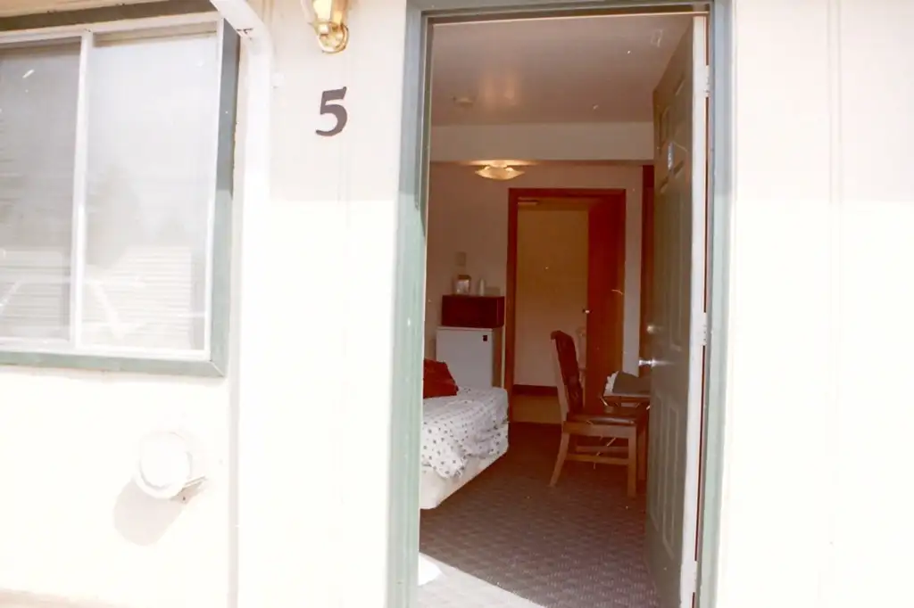 Lyle Stevik - Elephant In The Room