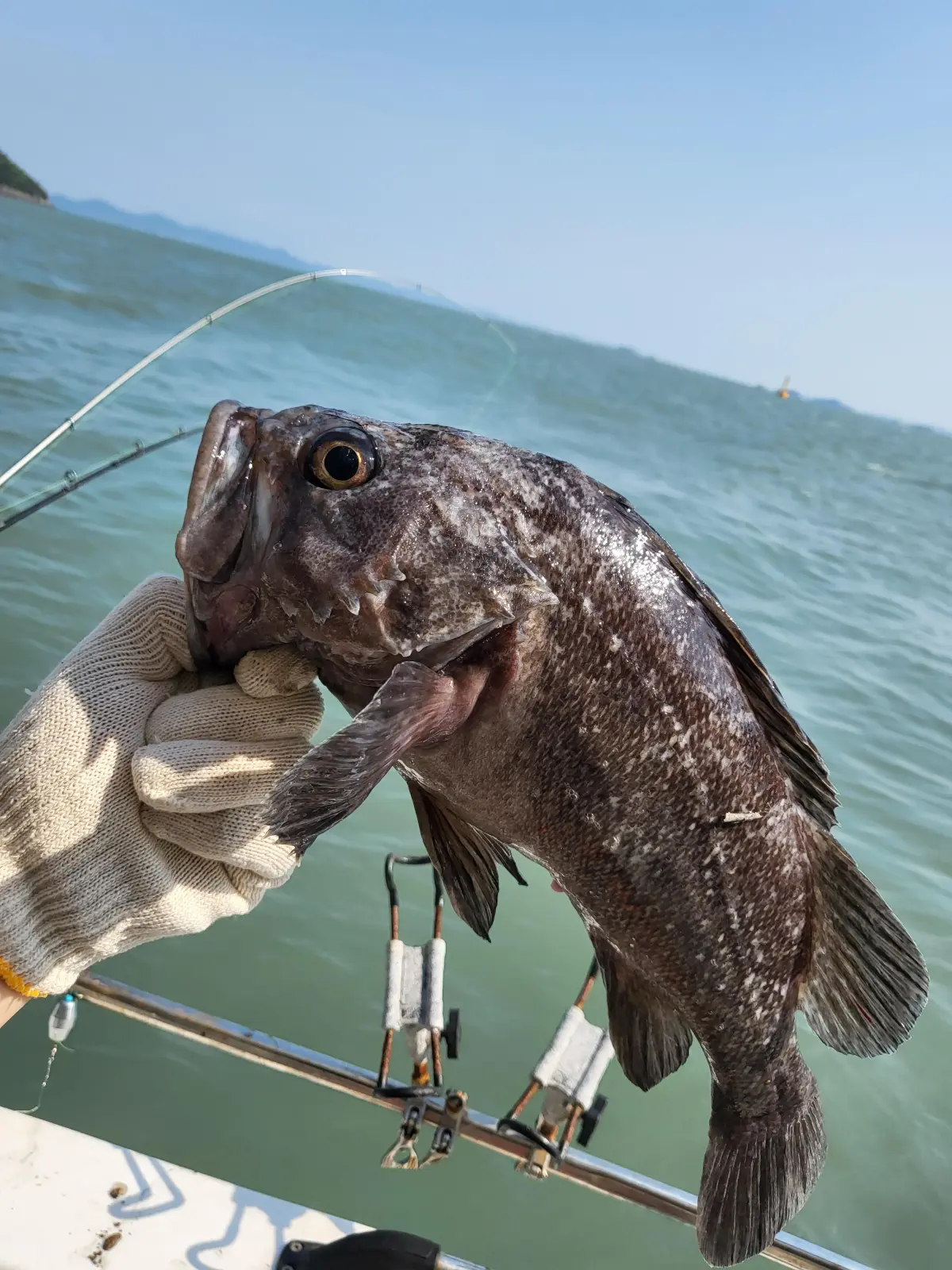 낚시 간단 조행기 2