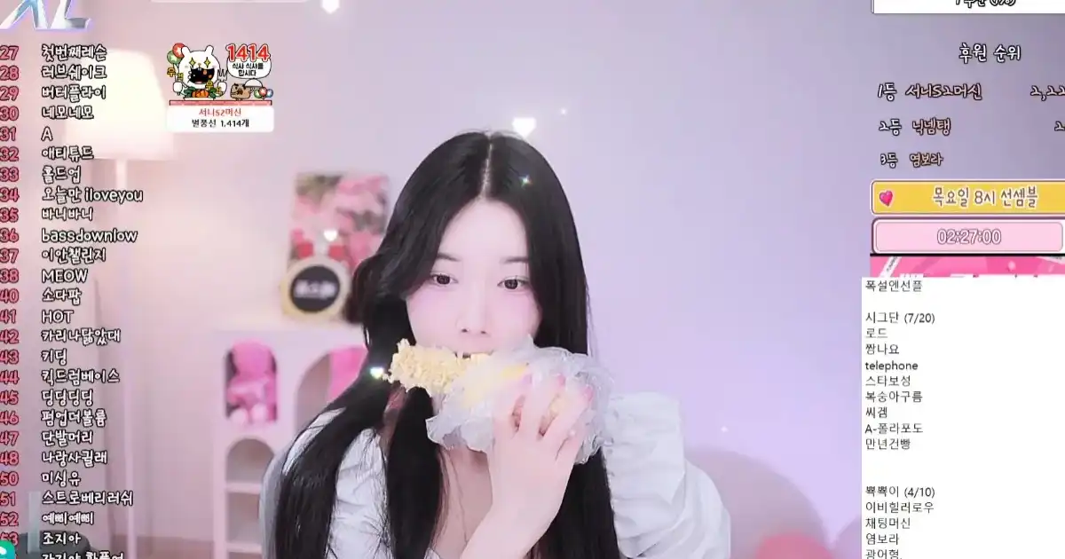 서니 Y사 탐방 어그로X : 인터넷방송 - 와이고수