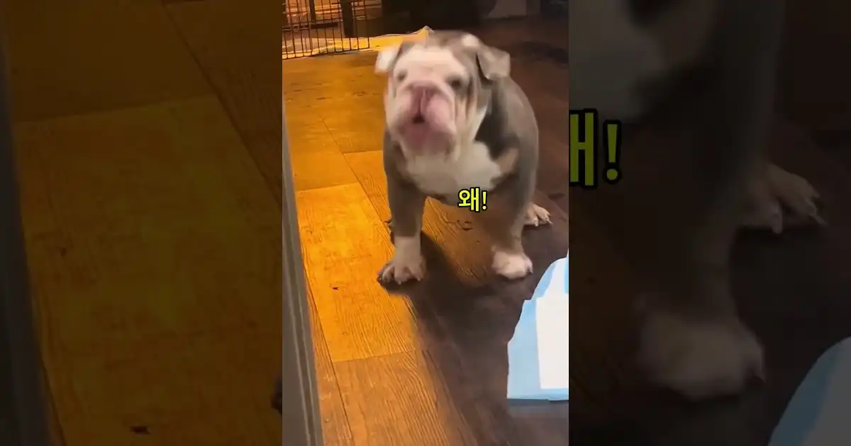 1200_630.webp?1740419061