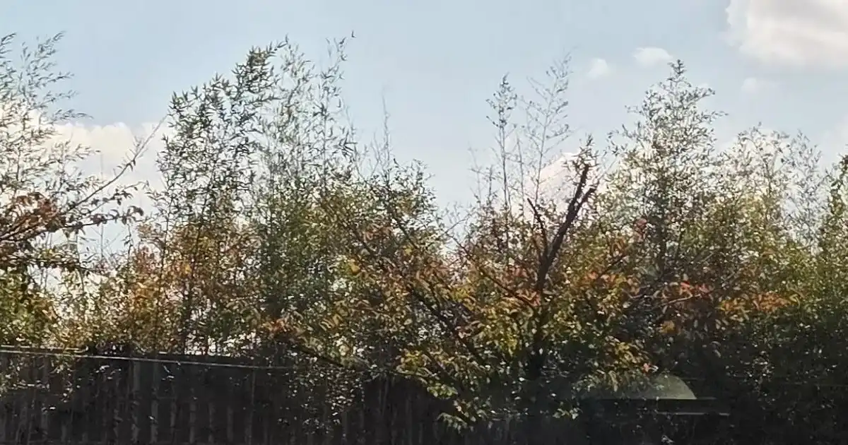 심심해서 찍은 사진 : 여행 - 와이고수