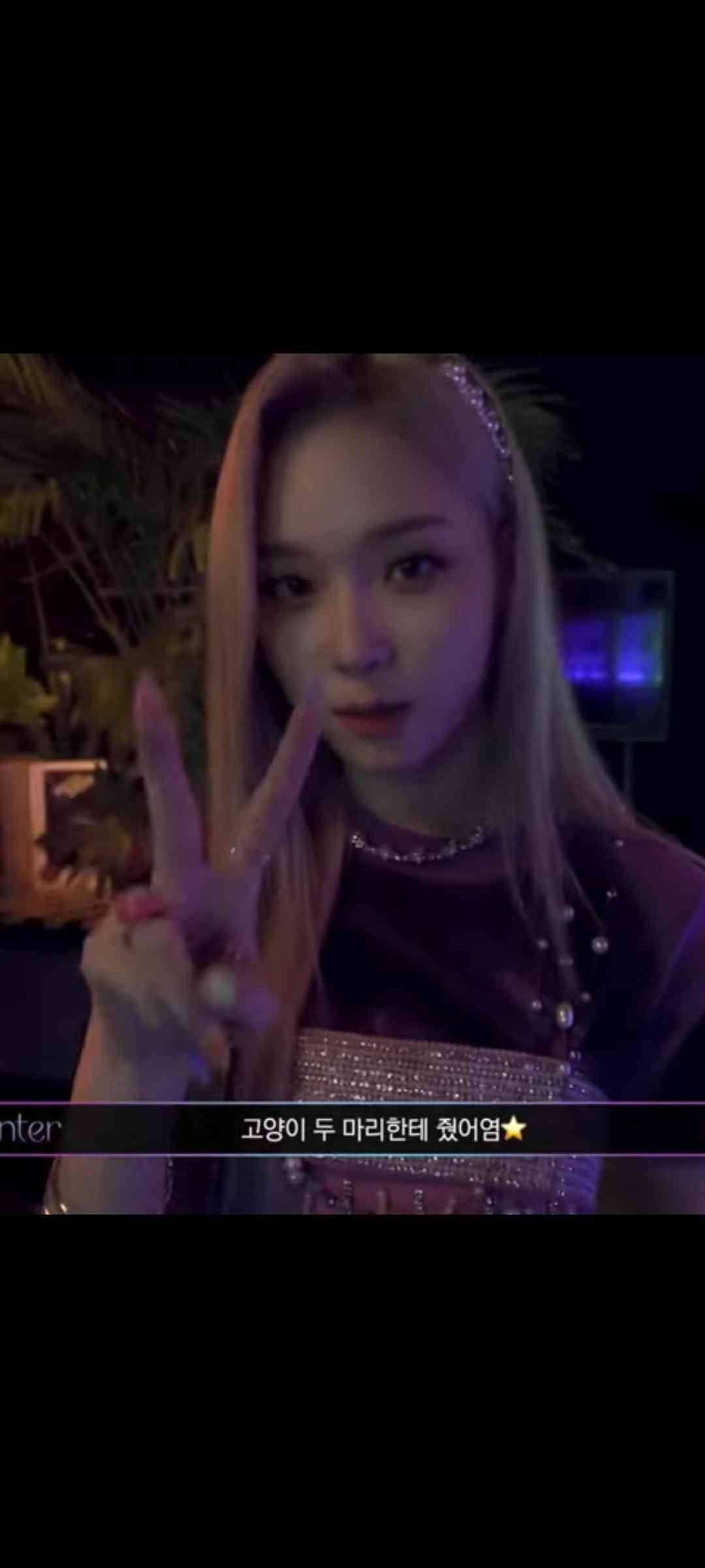 캣맘+반미친중+꼴페미 3종신기를 갖춘 걸그룹 멤버