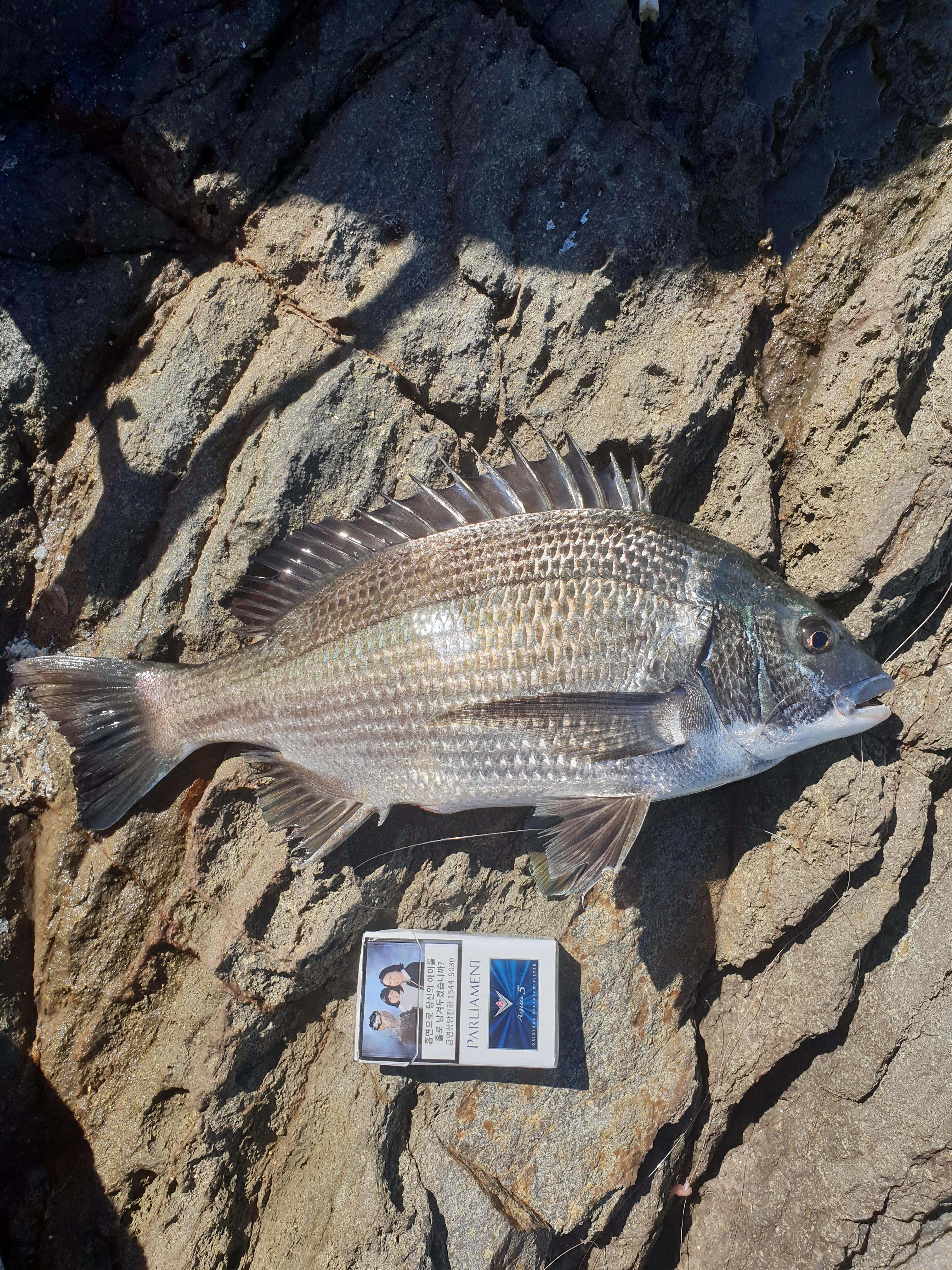 5bba114fbed3e.jpg (57.1KB, 4 Downloads) 5bba115e27ec7.jpg (2.47MB, 2 ...